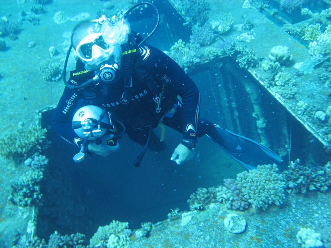 The Ultimate Guide to Identifying SSI Diver Licenses in Hurghada: What ...