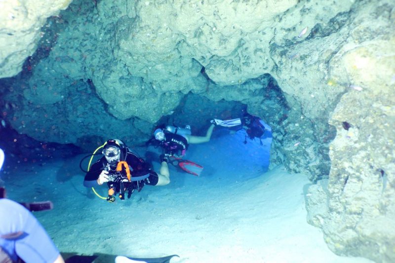 SSI Diving Certification Levels: A Comprehensive Guide