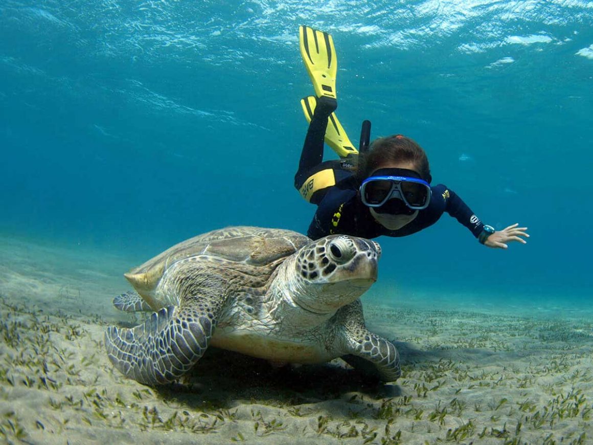 Diving In Sharm El naga Vs Diving In Hurghada