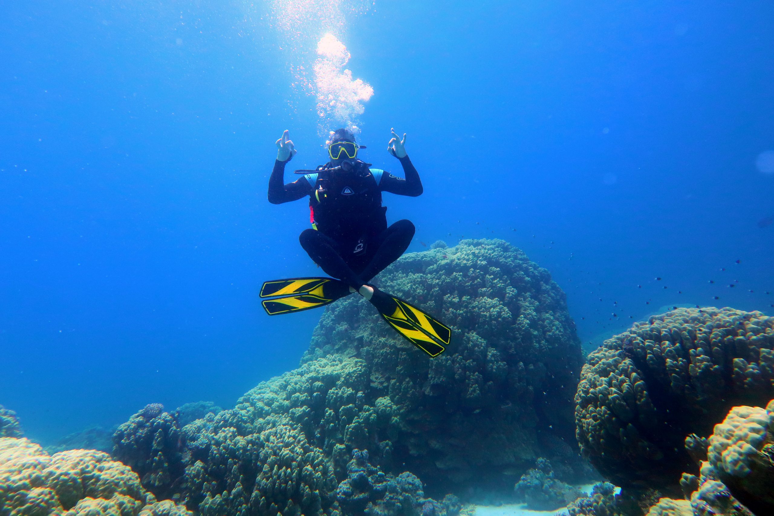 Diving Holidays In Egypt