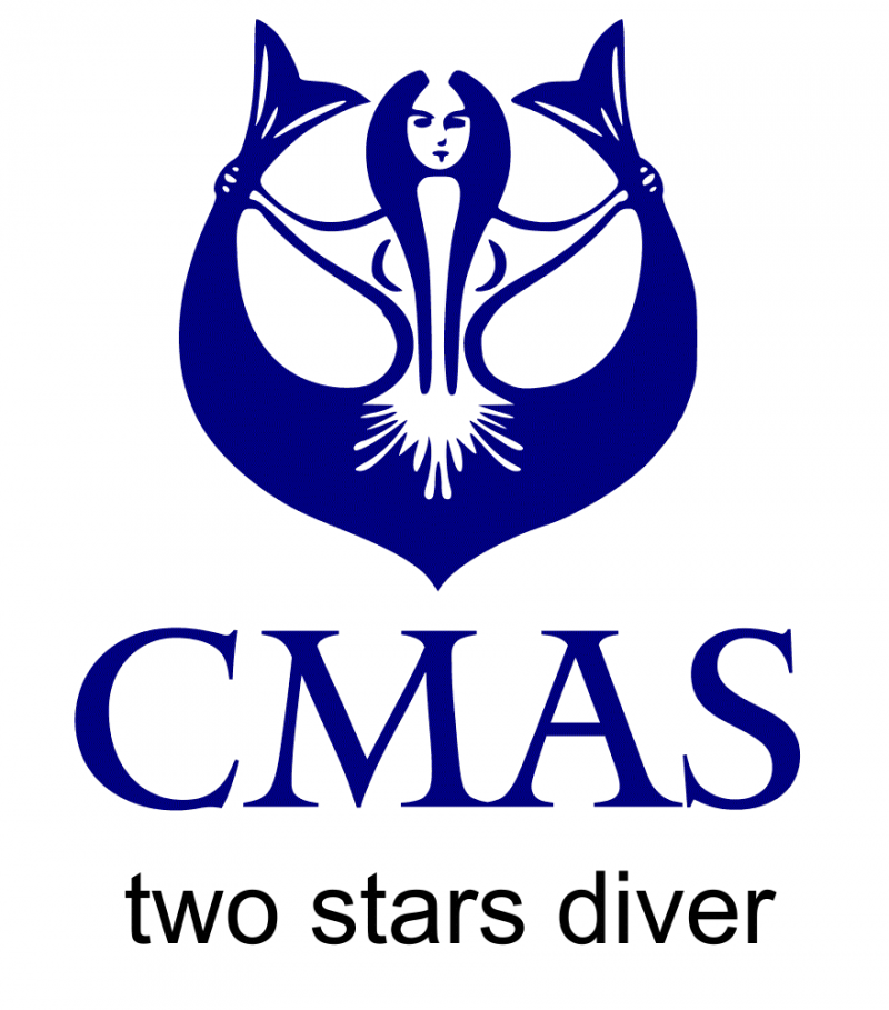 CMAS (P2**) Two Star Diver Course Diving in Hurghada