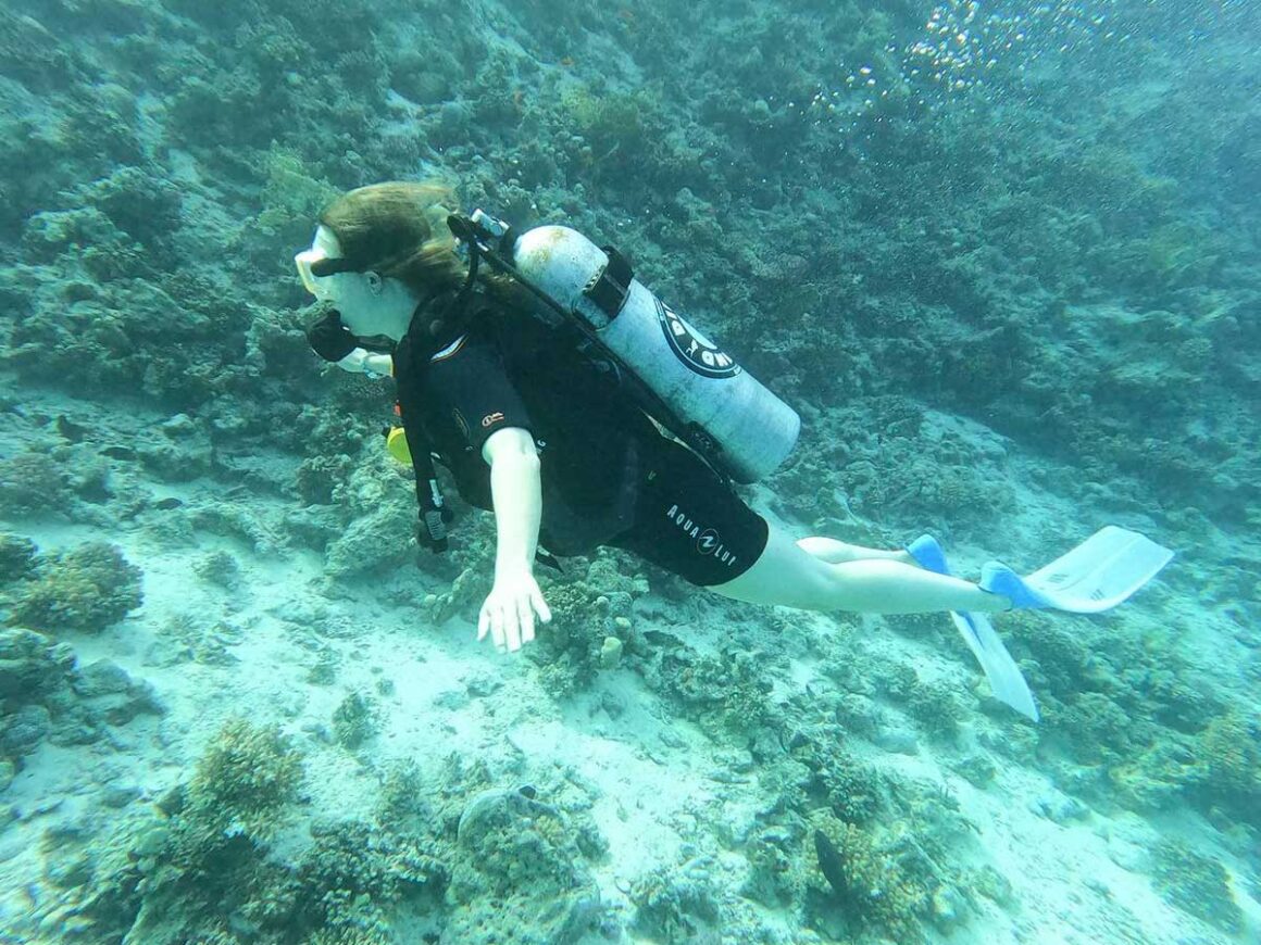 Discover our amazing last diving trip in hurghada