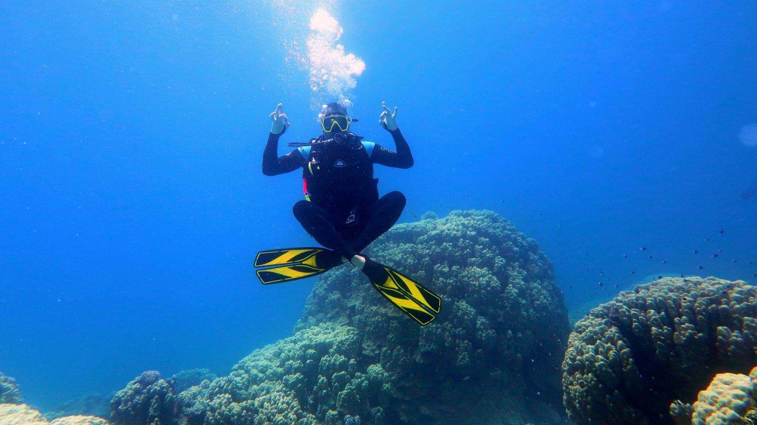 Practice Diving in Egypt Red Sea Full Dive Guide