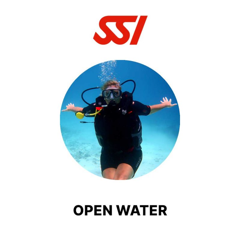 Scuba Diving courses in hurghada PADI, SSI, SDI, CMAS
