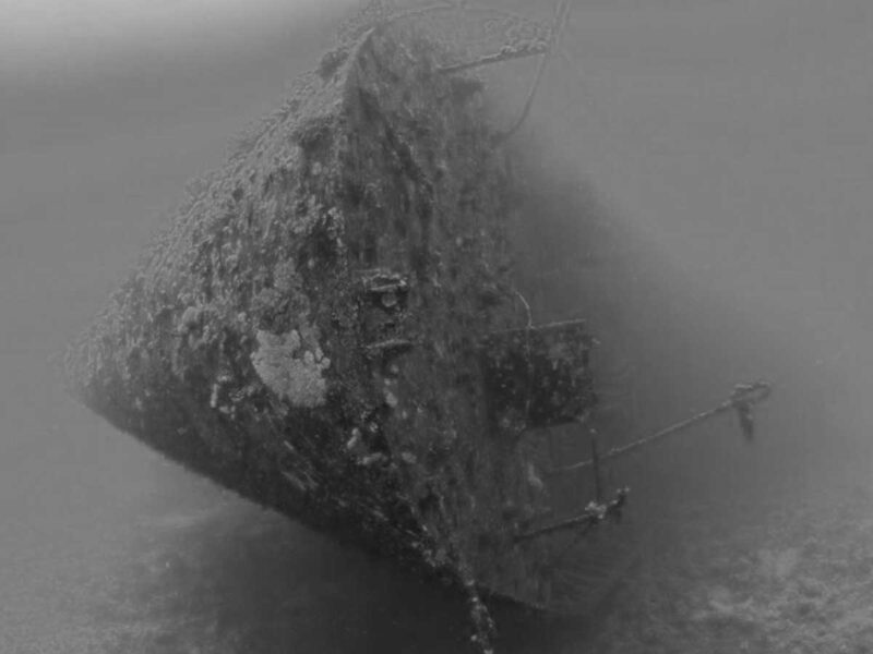 Salem Express Wreck Diving in Hurghada All You need to Know