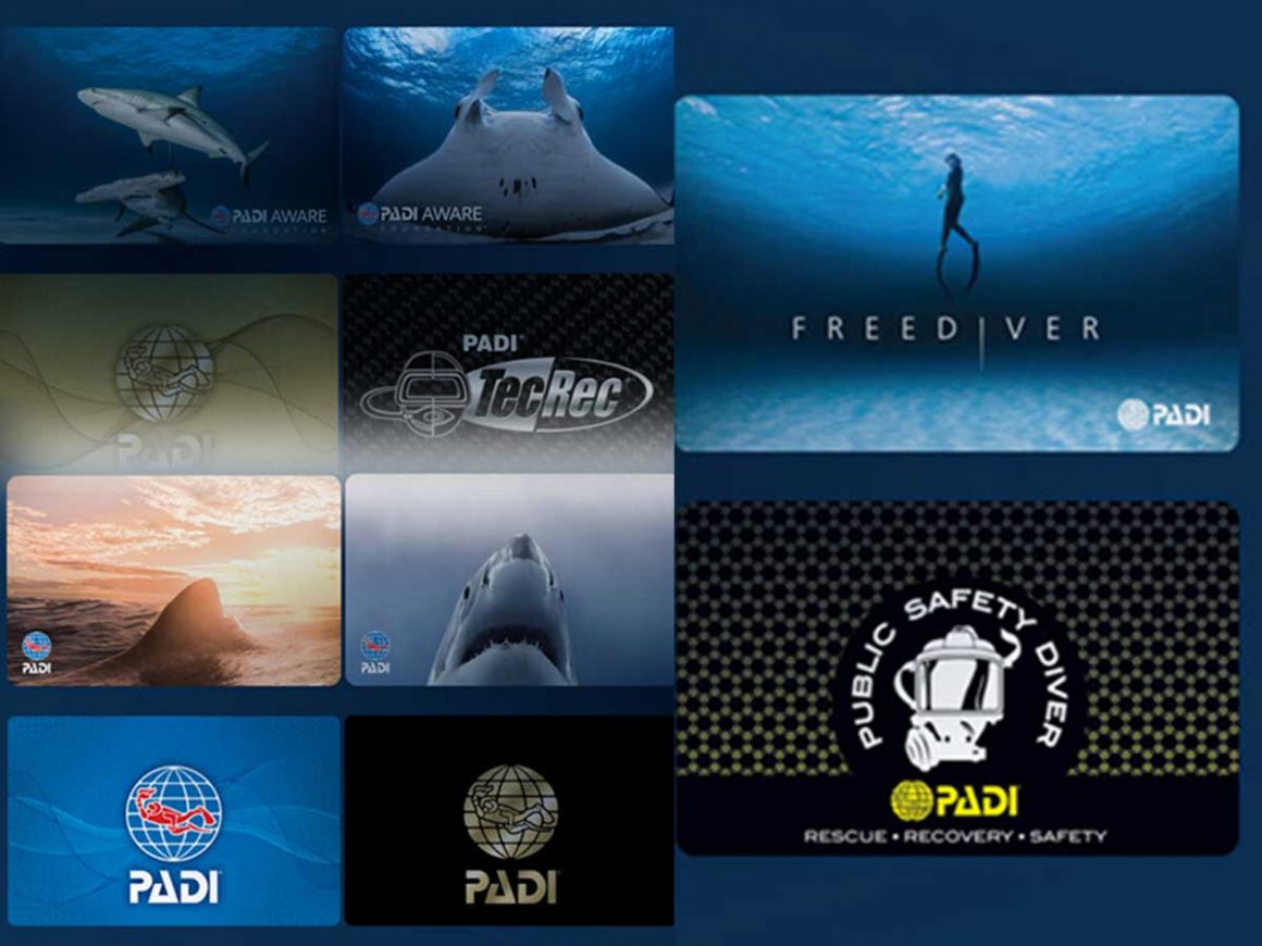 How to Identify PADI Diver License in Hurghada