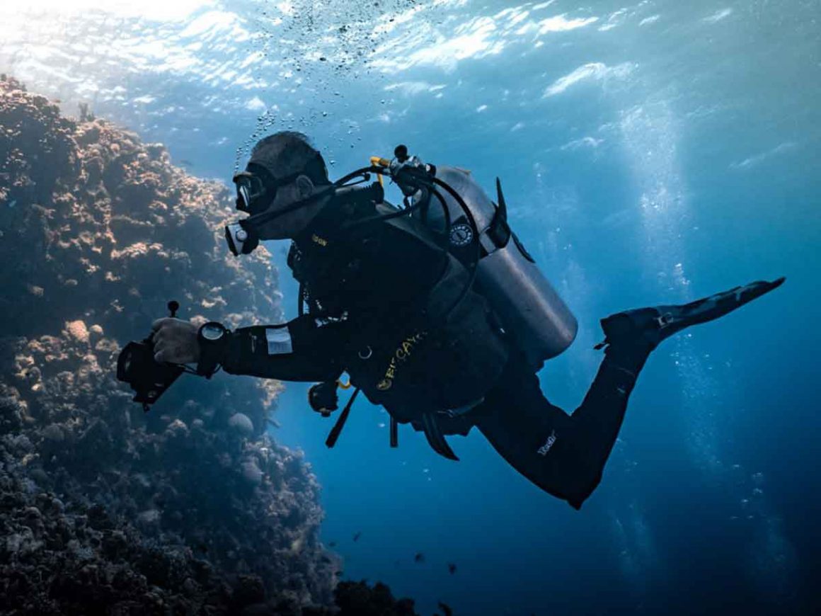 Diving Hurghada | Best PADI, SSI, CMAS & SDI Diving Center