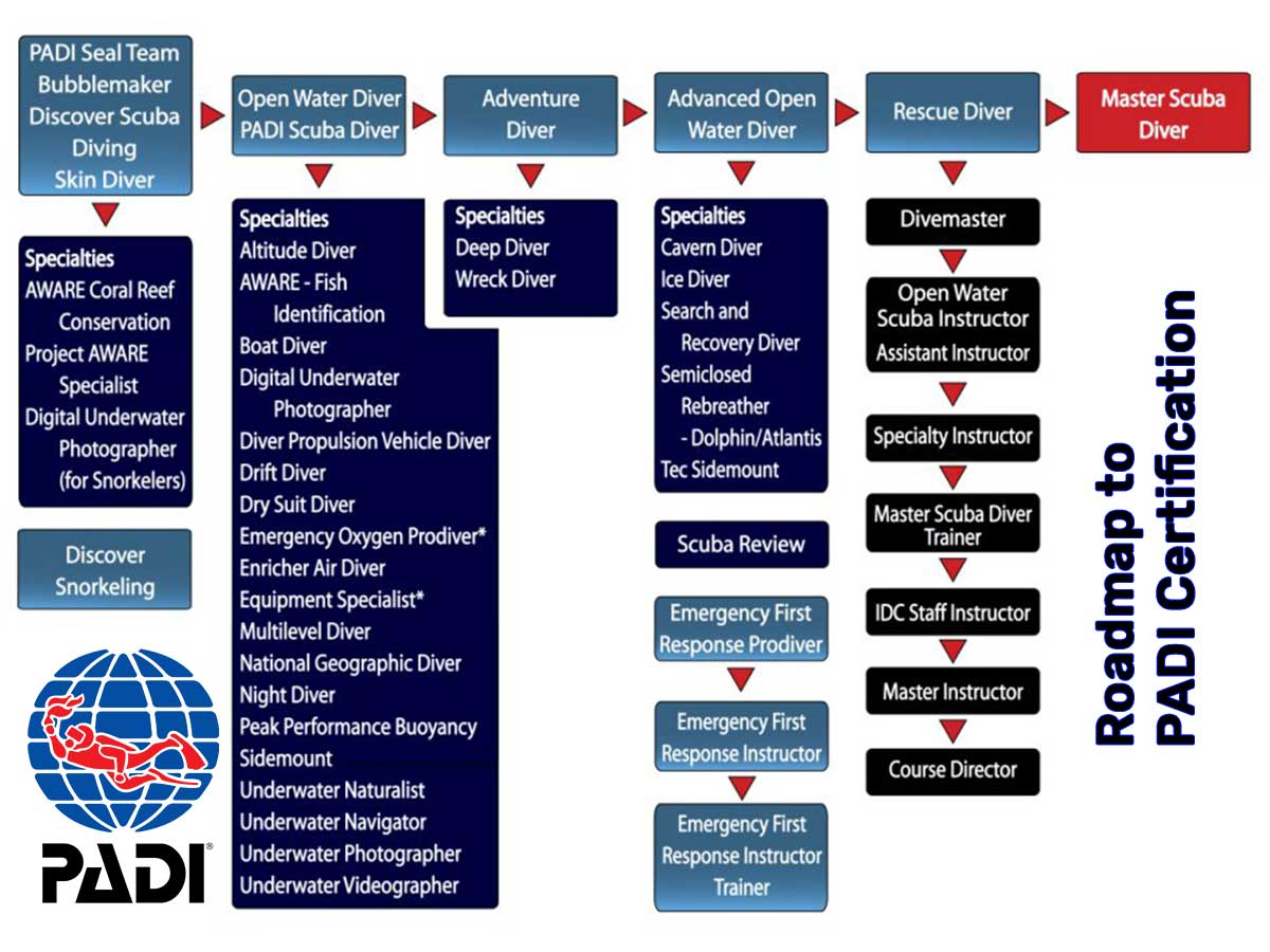Diving Hurghada: Guide To PADI, SSI, CMAS, SDI Certifications