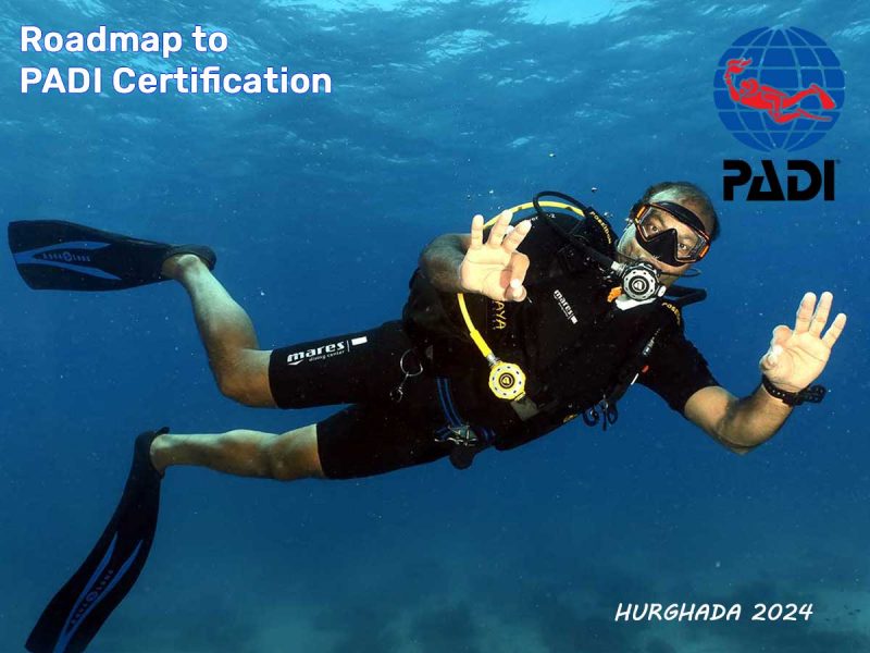 Diving Hurghada: Guide To PADI, SSI, CMAS, SDI Certifications