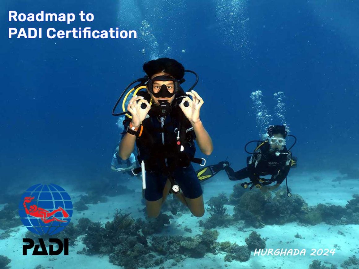 Diving Hurghada: Guide To PADI, SSI, CMAS, SDI Certifications