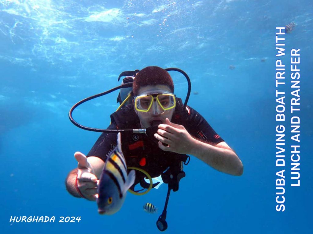 Hurghada Scuba Diving Boat Trip: Transfer, Dive, and Dine
