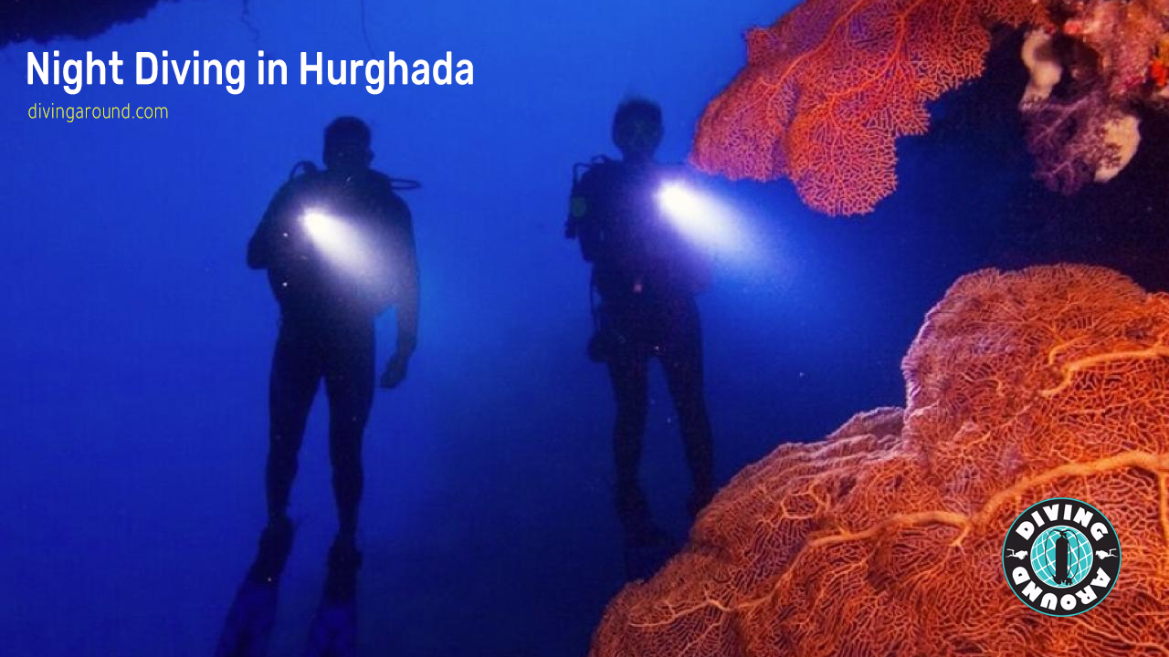 Night Diving in Hurghada: A Magical Underwater Adventure