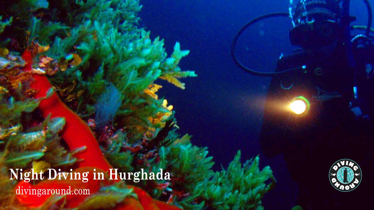 Hurghada Wreck Diving Certifications And Night Diving Adventures